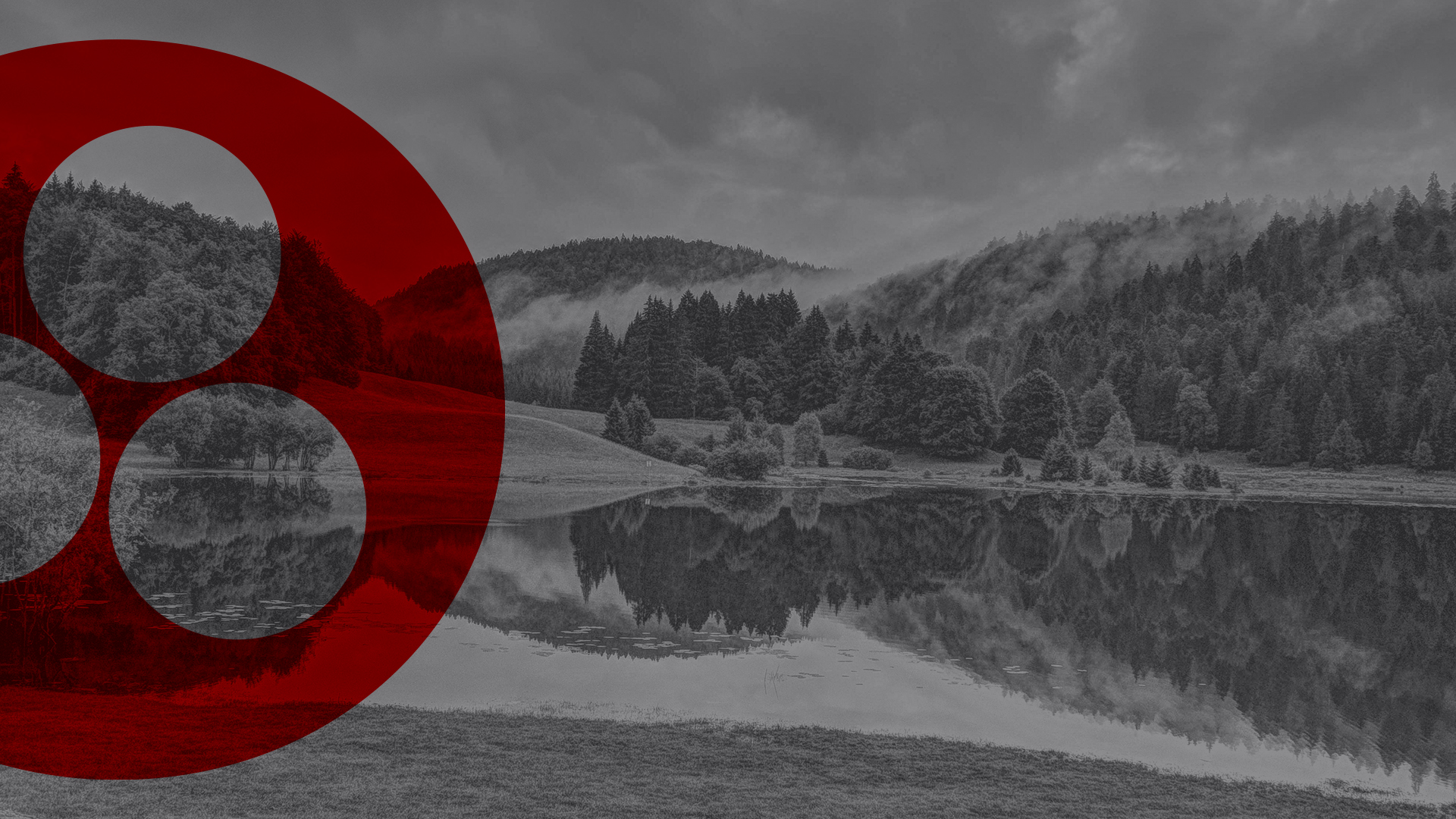 LIFTMOULD & FORCEMOLD | USIPRO - Boutique en ligne